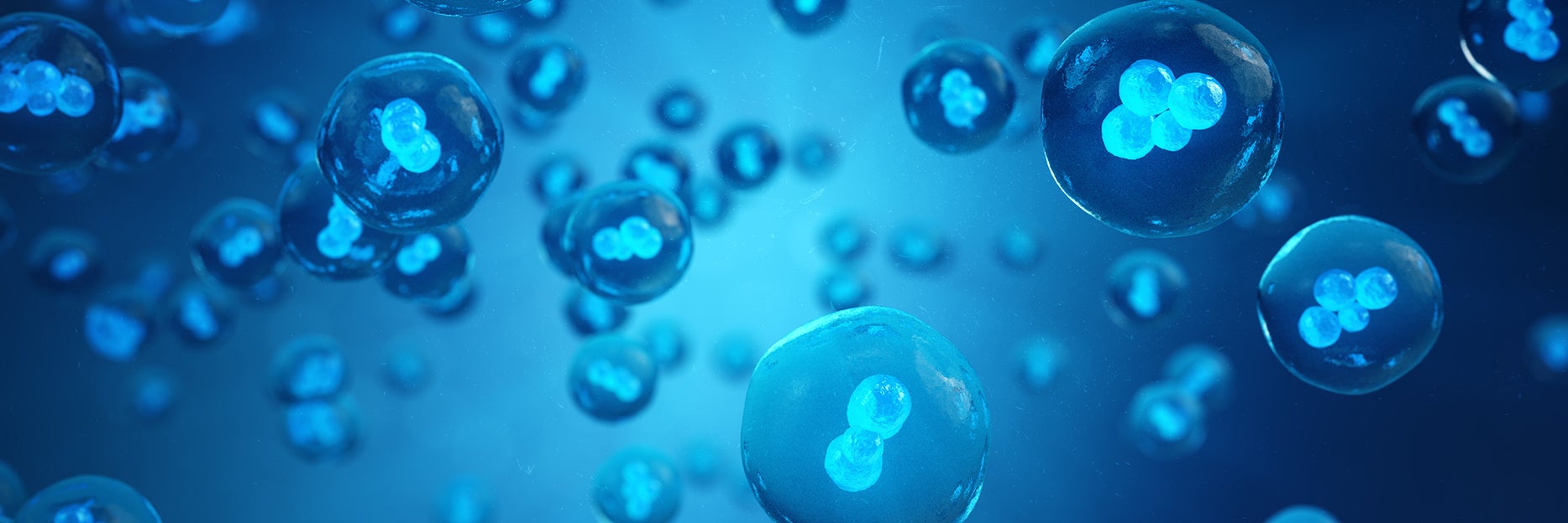 Stem Cell Center | Stem Cell Center