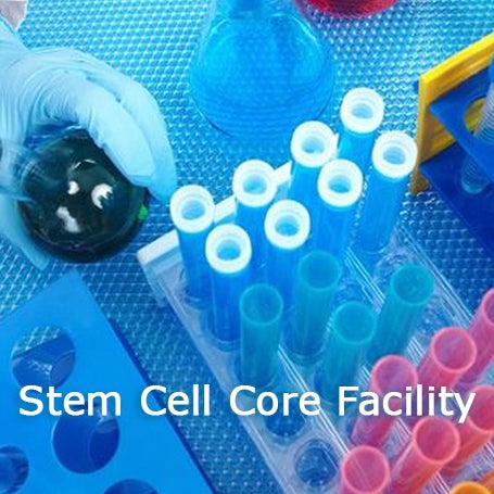 Stem Cell Center | College of Natural & Agricultural Sciences